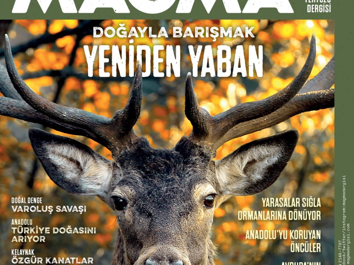 Yeni marka yüzü: Zeynep Bastık – HAPPY FASHION AND FOOD